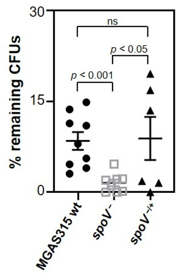 Signaling Peptide SpoV Is Essential for Streptococcus pyogenes ...