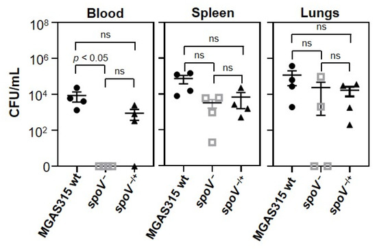 Microorganisms | Free Full-Text | Signaling Peptide SpoV Is Essential ...