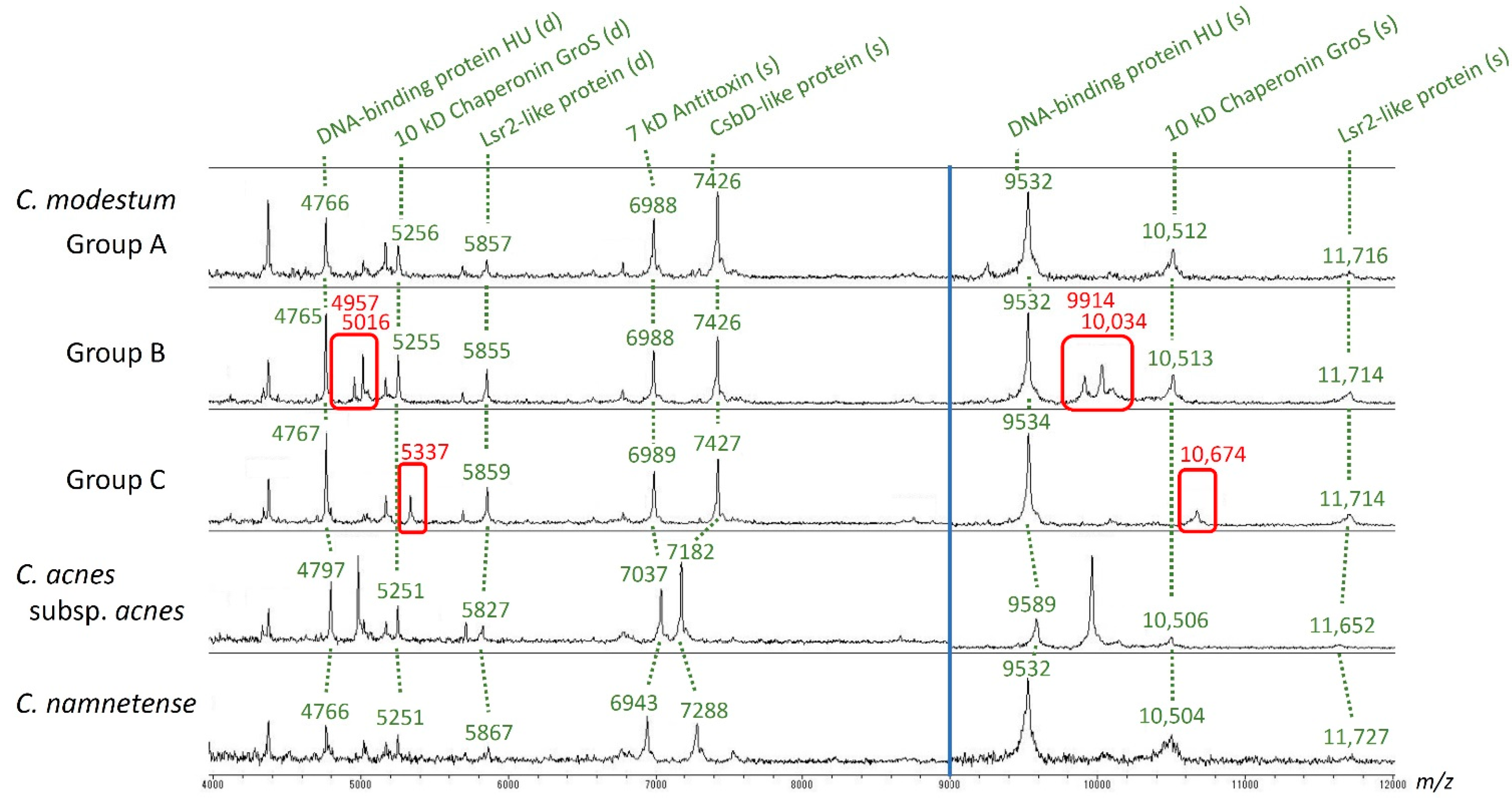 Common Features and Intra-Species Variation of Cutibacterium modestum ...