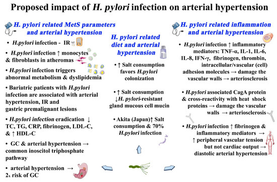 Impact of Helicobacter pylori-Related Metabolic Syndrome Parameters on Arterial Hypertension