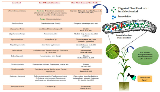 Microorganisms | Free Full-Text | Molecular Rationale of Insect ...