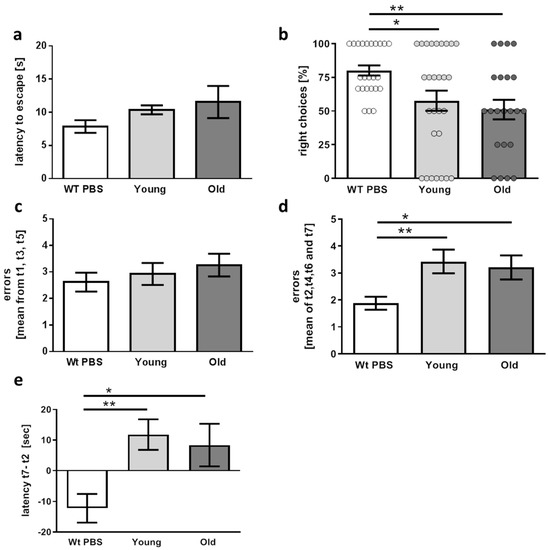 Impact of the Age of Cecal Material Transfer Donors on Alzheimer’s ...