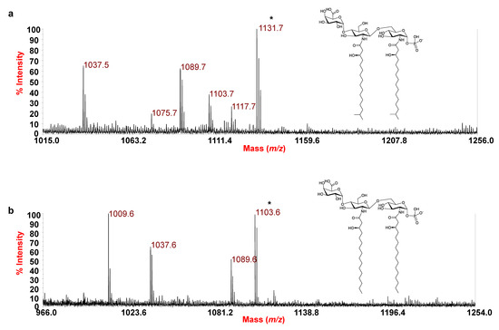 The Unusual Lipid A Structure and Immunoinhibitory Activity of LPS from ...