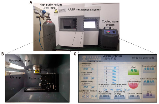 Improved Neomycin Sulfate Potency in Streptomyces fradiae Using ...