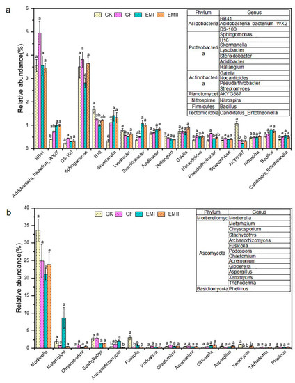 Long-Term Application of Bio-Compost Increased Soil Microbial Community ...