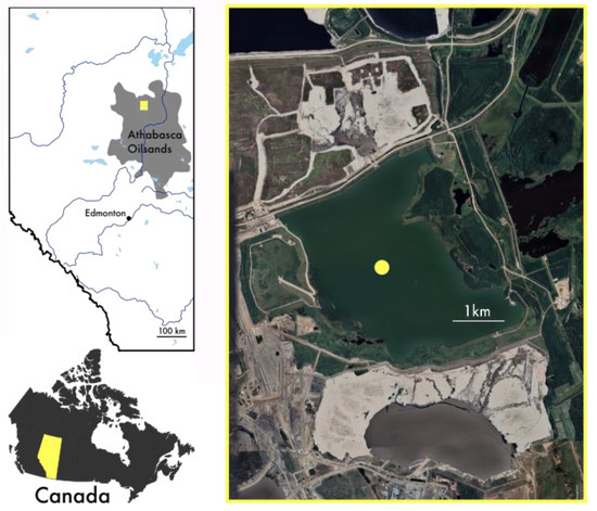 Microorganisms | Free Full-Text | Alum Addition Triggers Hypoxia in an ...