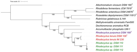 Microorganisms | Free Full-Text | Comparative Genome Analysis of the ...