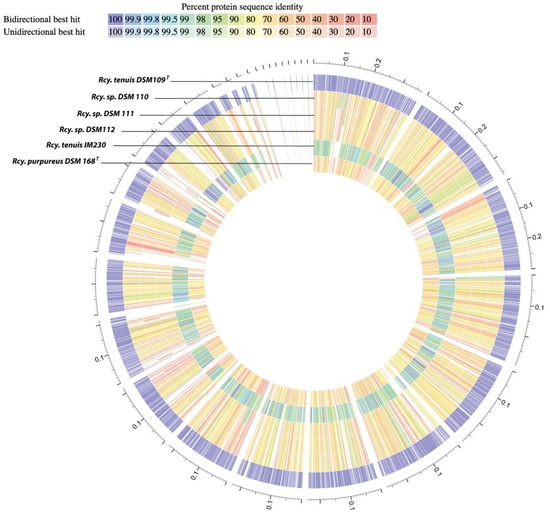 Microorganisms | Free Full-Text | Comparative Genome Analysis of the ...