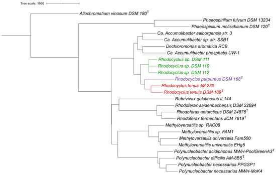 Microorganisms | Free Full-Text | Comparative Genome Analysis of the ...