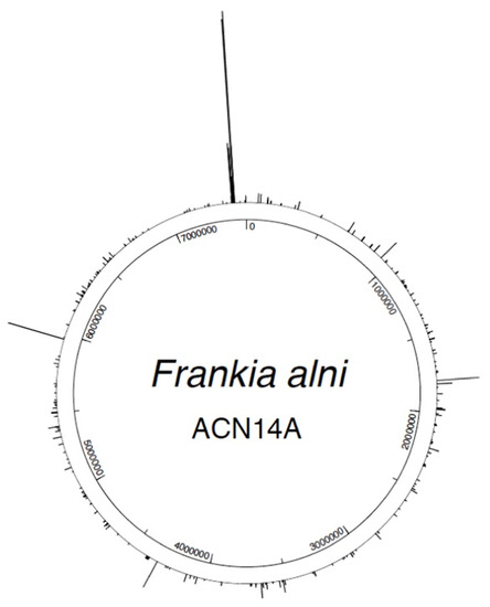 Microorganisms | Free Full-Text | The Proteogenome of Symbiotic Frankia ...