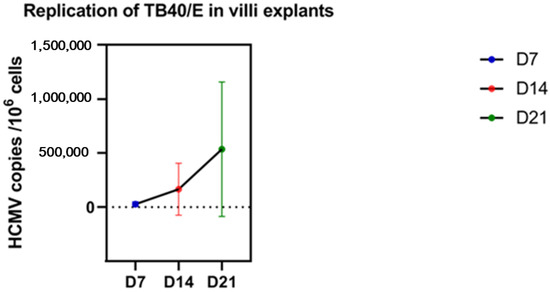 Microorganisms | Free Full-Text | Potential of Anti-CMV Immunoglobulin ...