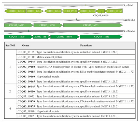 Microorganisms | Free Full-Text | Breaking the Restriction Barriers and ...