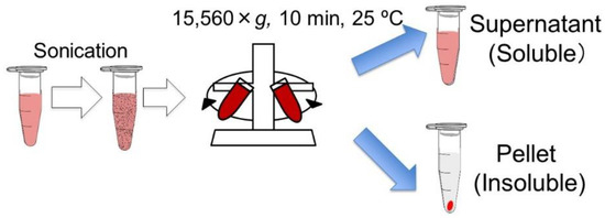 Microorganisms | An Open Access Journal from MDPI