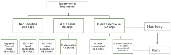 Microbiota and Transcriptomic Effects of an Essential Oil Blend and Its ...
