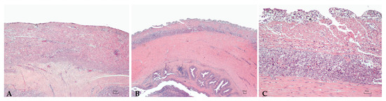 Isolation and Genetic Characterization of Streptococcus iniae Virulence ...