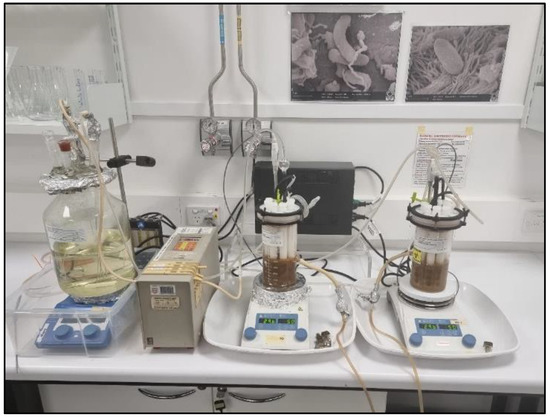Enhancing Biocide Efficacy: Targeting Extracellular DNA for Marine ...