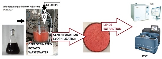 Microorganisms | Free Full-Text | Enhancing Red Yeast Biomass Yield and ...