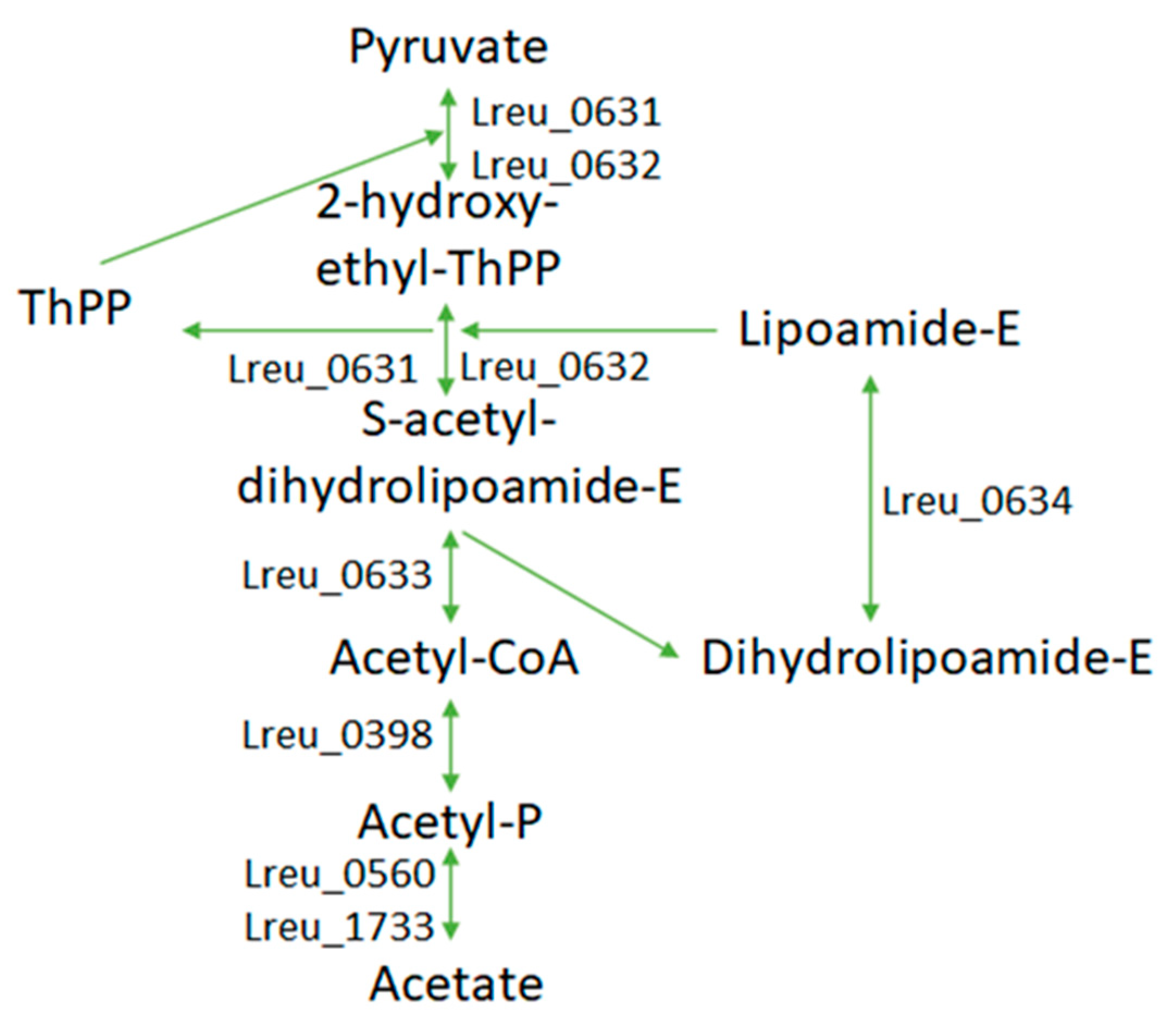 Microorganisms Free Full Text In Silico Genomic And Metabolic Atlas
