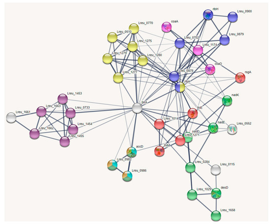 Microorganisms Free Full Text In Silico Genomic And Metabolic Atlas