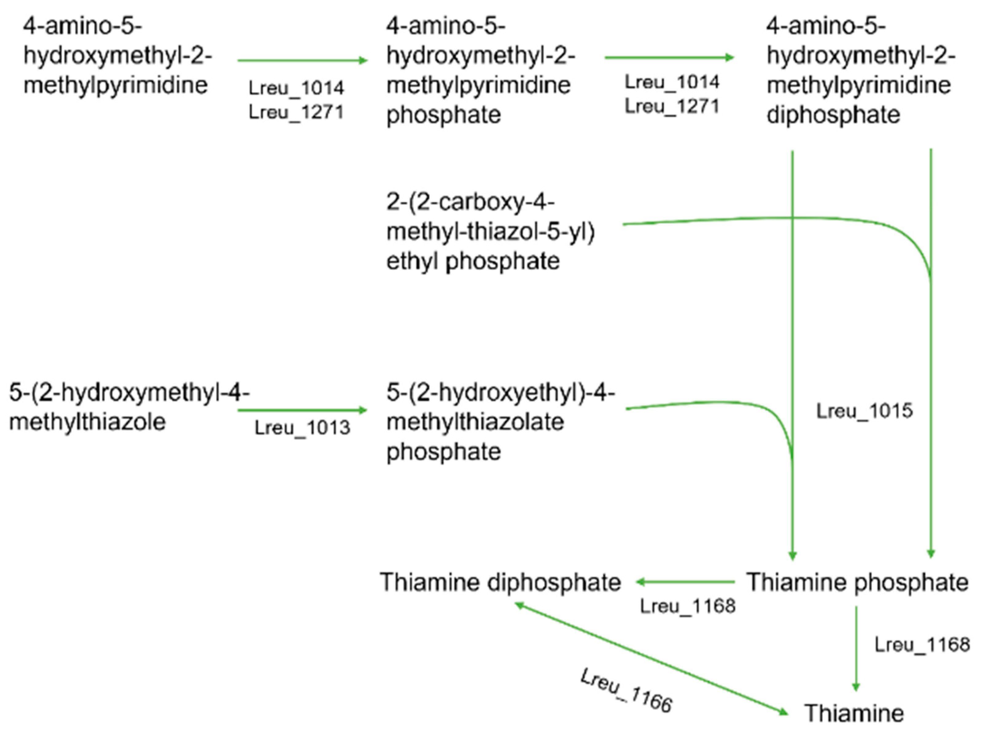 Microorganisms Free Full Text In Silico Genomic And Metabolic Atlas