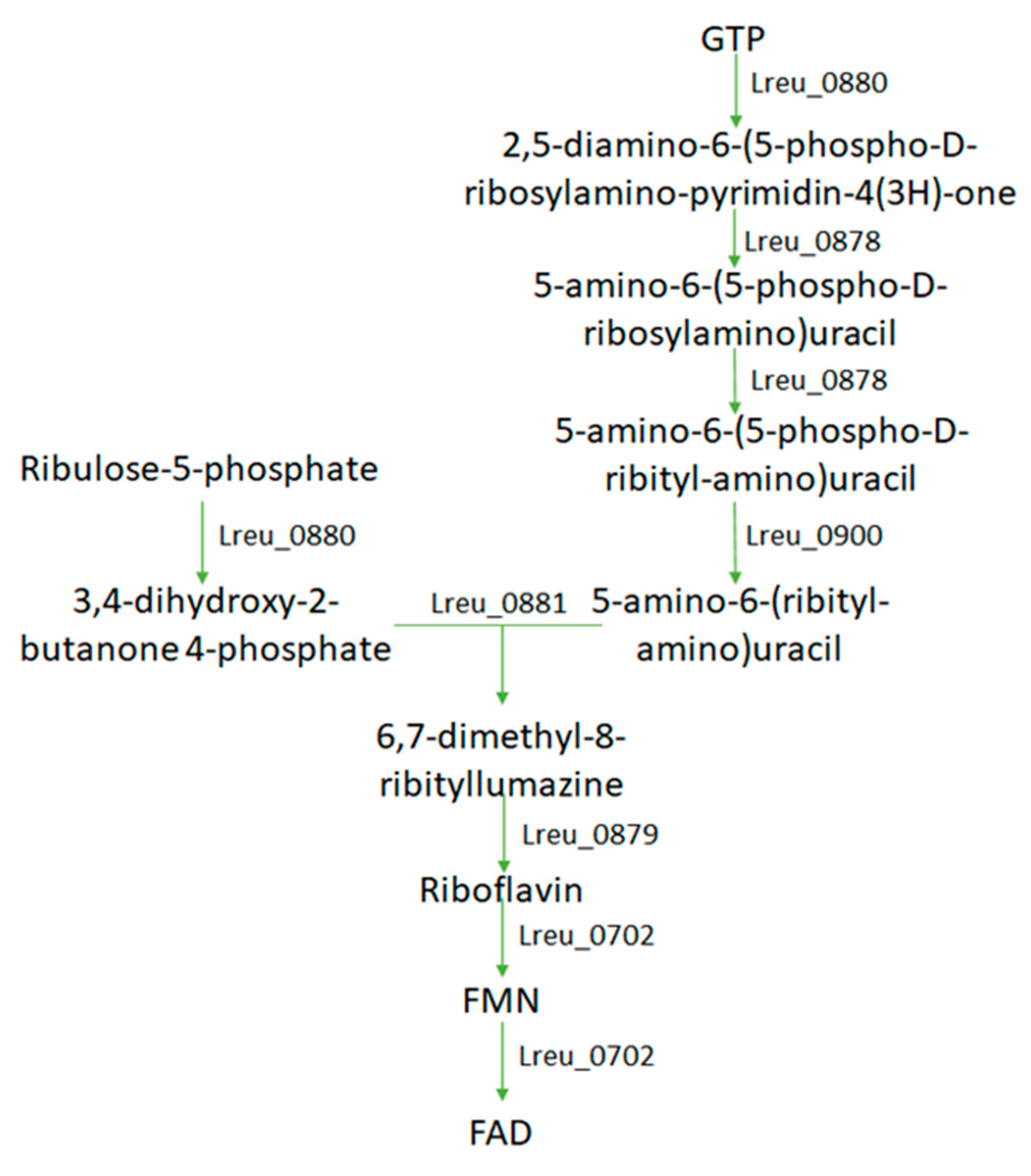 Microorganisms Free Full Text In Silico Genomic And Metabolic Atlas