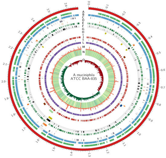 Comparative Genomics and Pan-Genome Driven Prediction of a Reduced ...