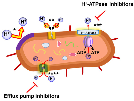Bacterial Stress Responses as Potential Targets in Overcoming ...