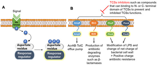 Bacterial Stress Responses as Potential Targets in Overcoming ...