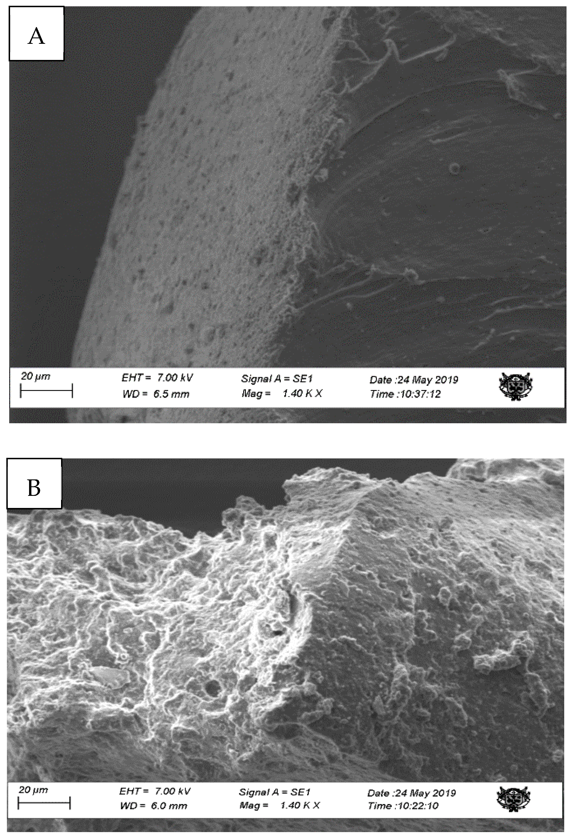 Tire Ground Rubber Biodegradation by a Consortium Isolated from an Aged ...
