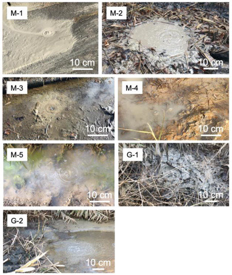 Hydrocarbon Cycling in the Tokamachi Mud Volcano (Japan): Insights from ...