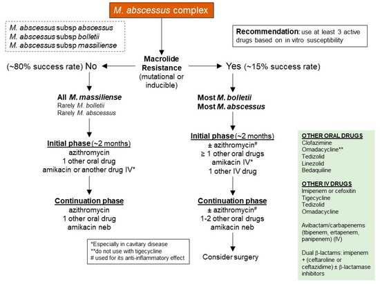 Mycobacterium abscessus: It’s Complex