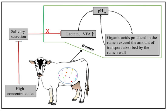 Microorganisms | Free Full-Text | The Role of Rumen Microbiota and Its ...