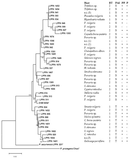 Biochemical Diversity, Pathogenicity and Phylogenetic Analysis of ...
