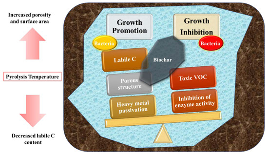 Ultrasonic Activated Biochar and Its Removal of Harmful Substances in ...