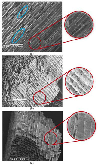 Ultrasonic Activated Biochar and Its Removal of Harmful Substances in ...