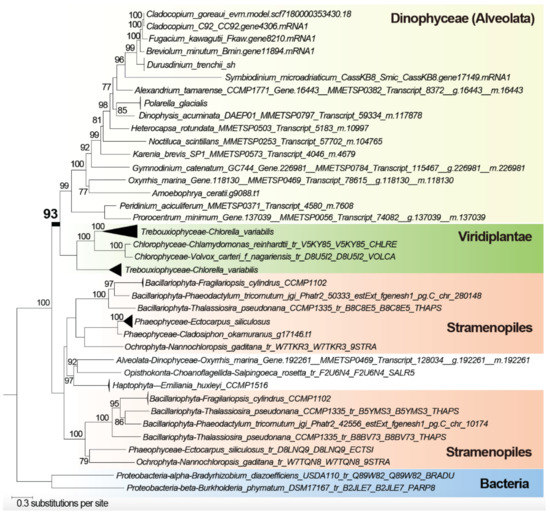 Improved Cladocopium goreaui Genome Assembly Reveals Features of a ...