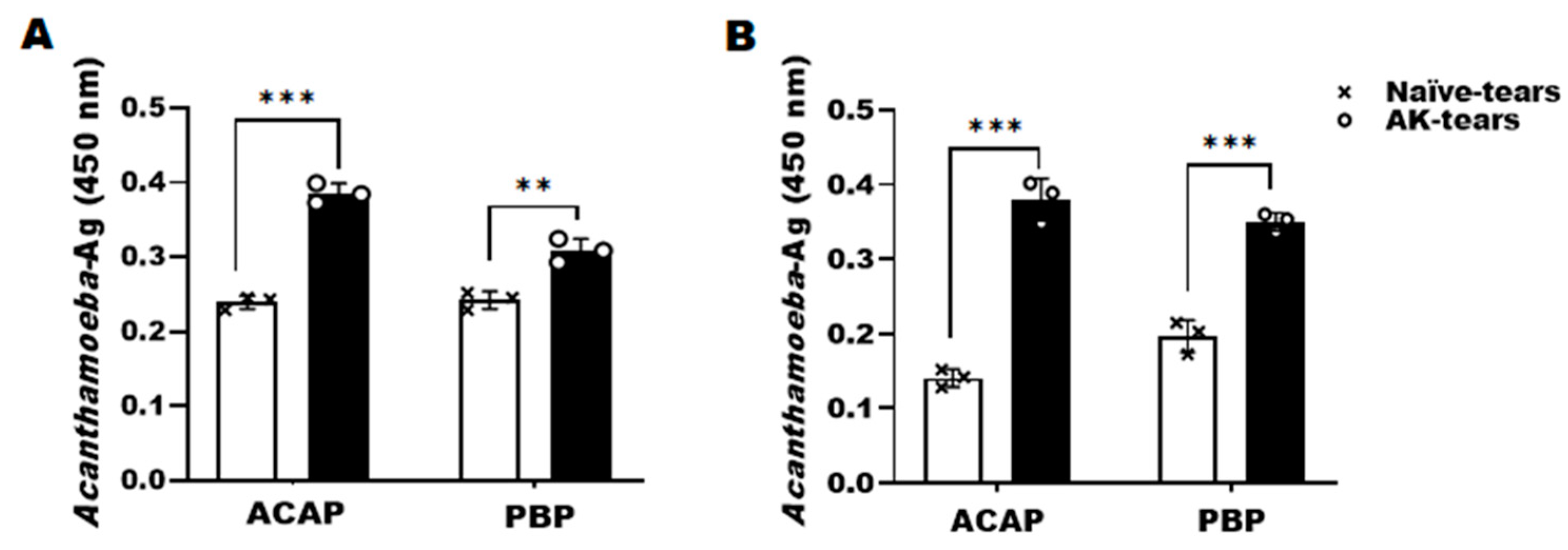 Microorganisms Free Full Text Detection Of Acanthamoeba From Acanthamoeba Keratitis Mouse