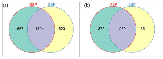 Microorganisms | Free Full-Text | The Effects of Secondary Growth of ...