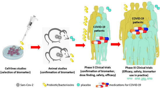 Immunomodulatory Effects of Probiotics on COVID-19 Infection by Targeting the Gut–Lung Axis ...