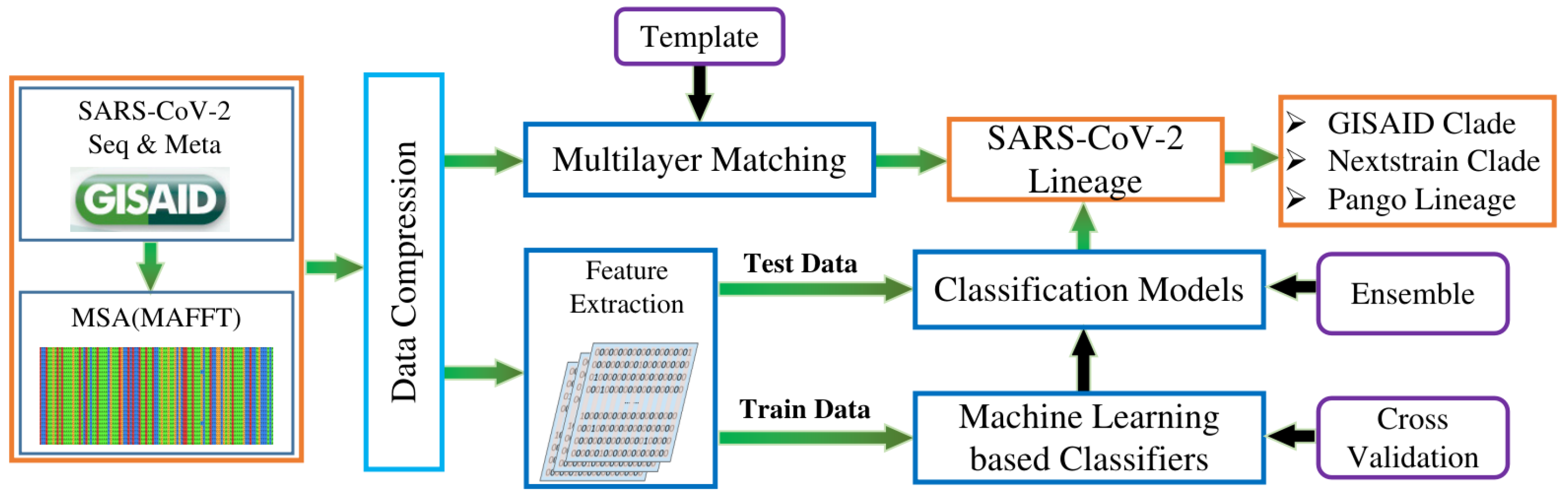 Towards Efficient and Accurate SARS-CoV-2 Genome Sequence Typing Based on Supervised Learning ...
