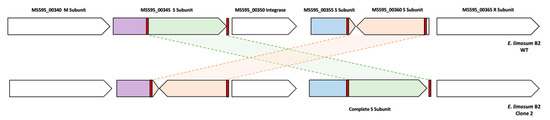 Genome Sequence of Eubacterium limosum B2 and Evolution for Growth on a ...