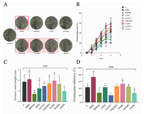 Plant Growth-Promoting Bacterial Consortia as a Strategy to Alleviate ...