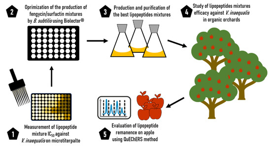 Assessment of Lipopeptide Mixtures Produced by Bacillus subtilis as ...