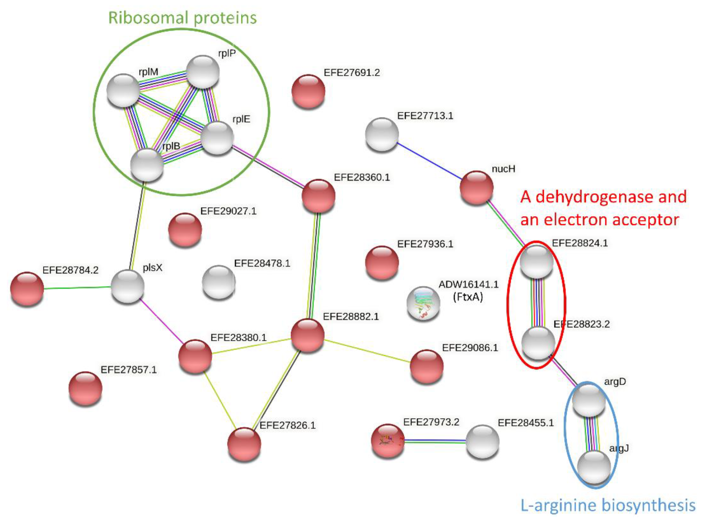 Extracellular Vesicle Subproteome Differences among Filifactor alocis ...