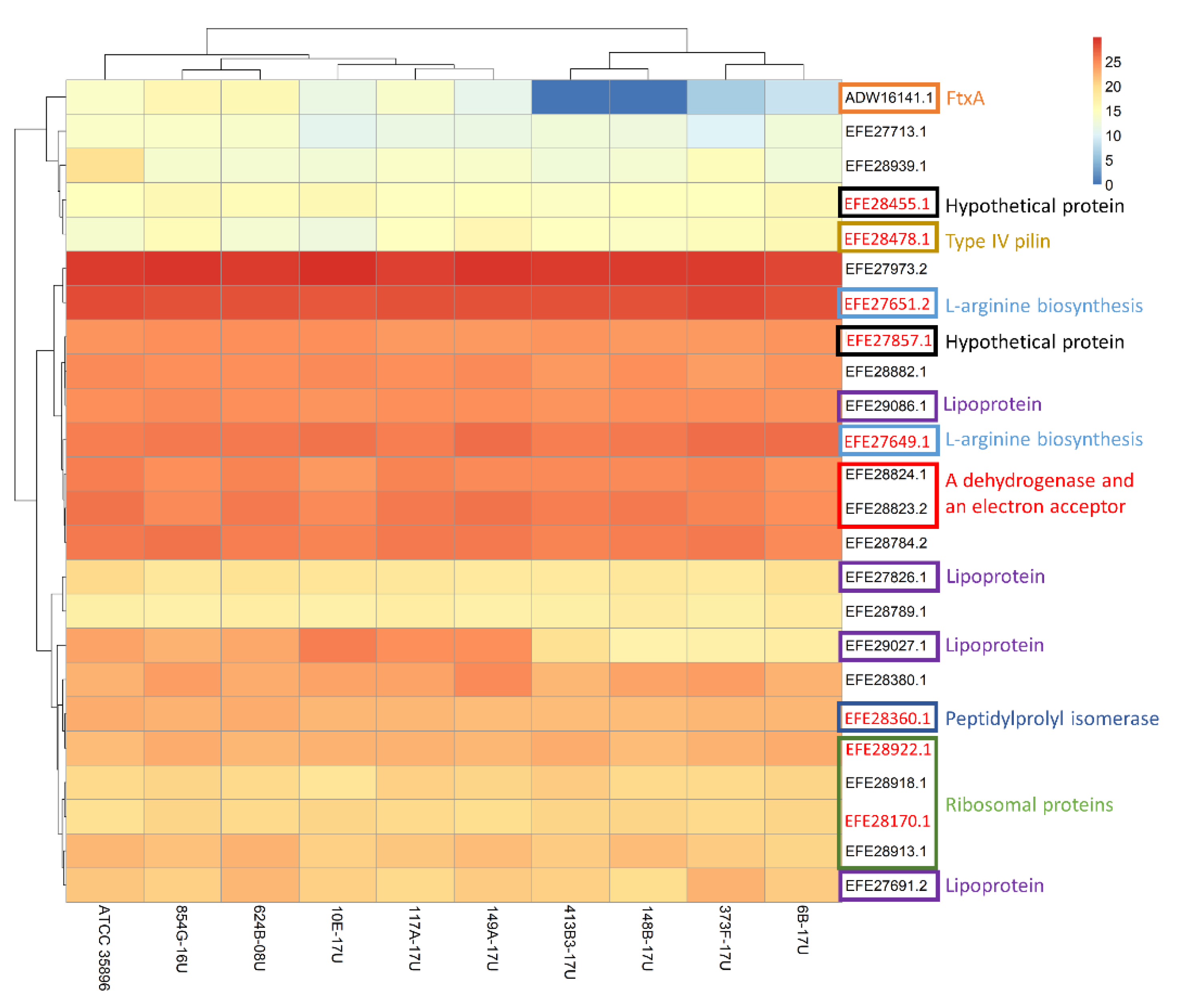 Extracellular Vesicle Subproteome Differences among Filifactor alocis ...
