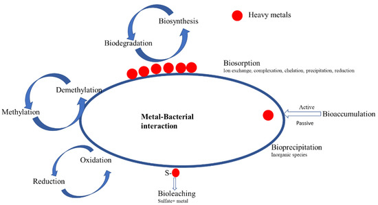 Recovery Strategies for Heavy Metal-Inhibited Biological Nitrogen ...