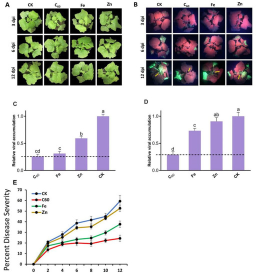 Manufactured Nano-Objects Confer Viral Protection against Cucurbit ...