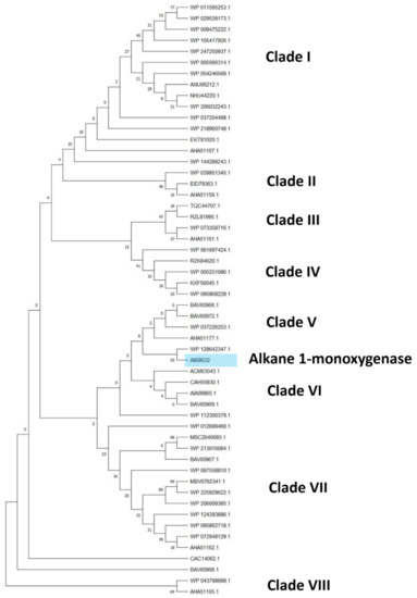 Genome-Based Exploration of Rhodococcus Species for Plastic-Degrading ...