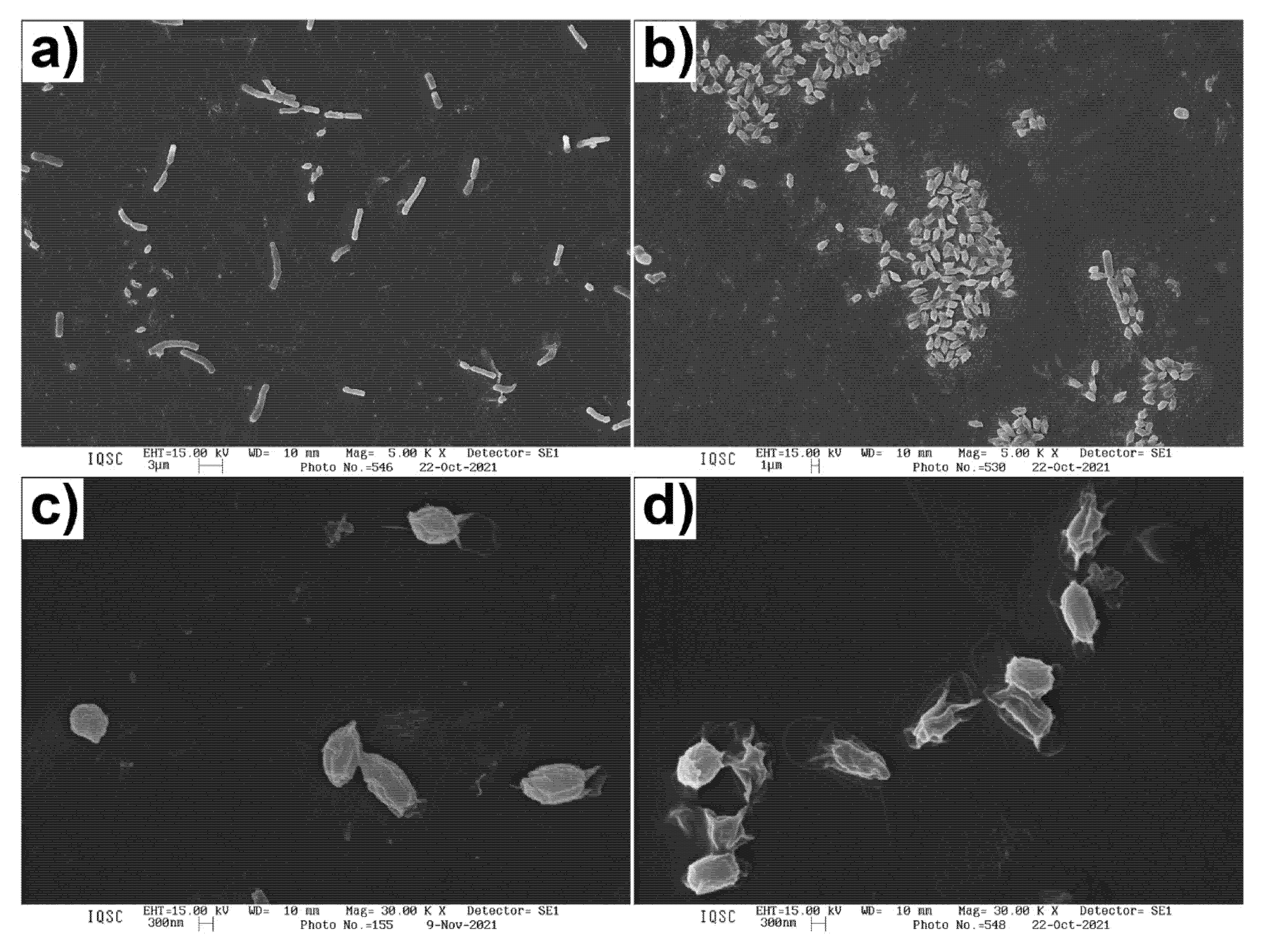 Susceptibility of Vegetative Cells and Endospores of Bacillus cereus to ...