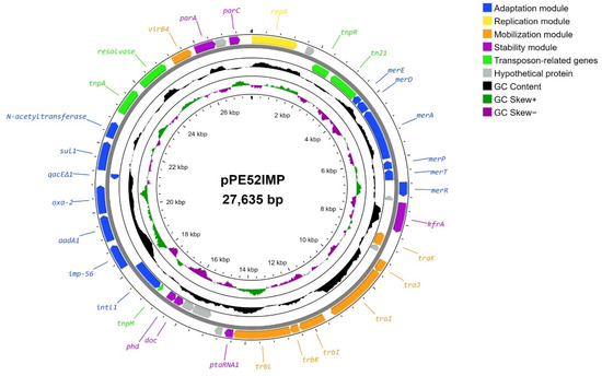 A Plasmid Carrying blaIMP-56 in Pseudomonas aeruginosa Belonging to a Novel Resistance Plasmid ...